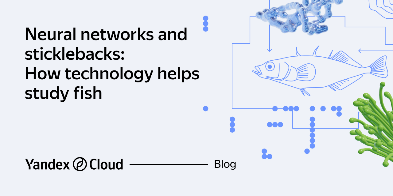 Neural networks and sticklebacks: How technology helps study fish ...